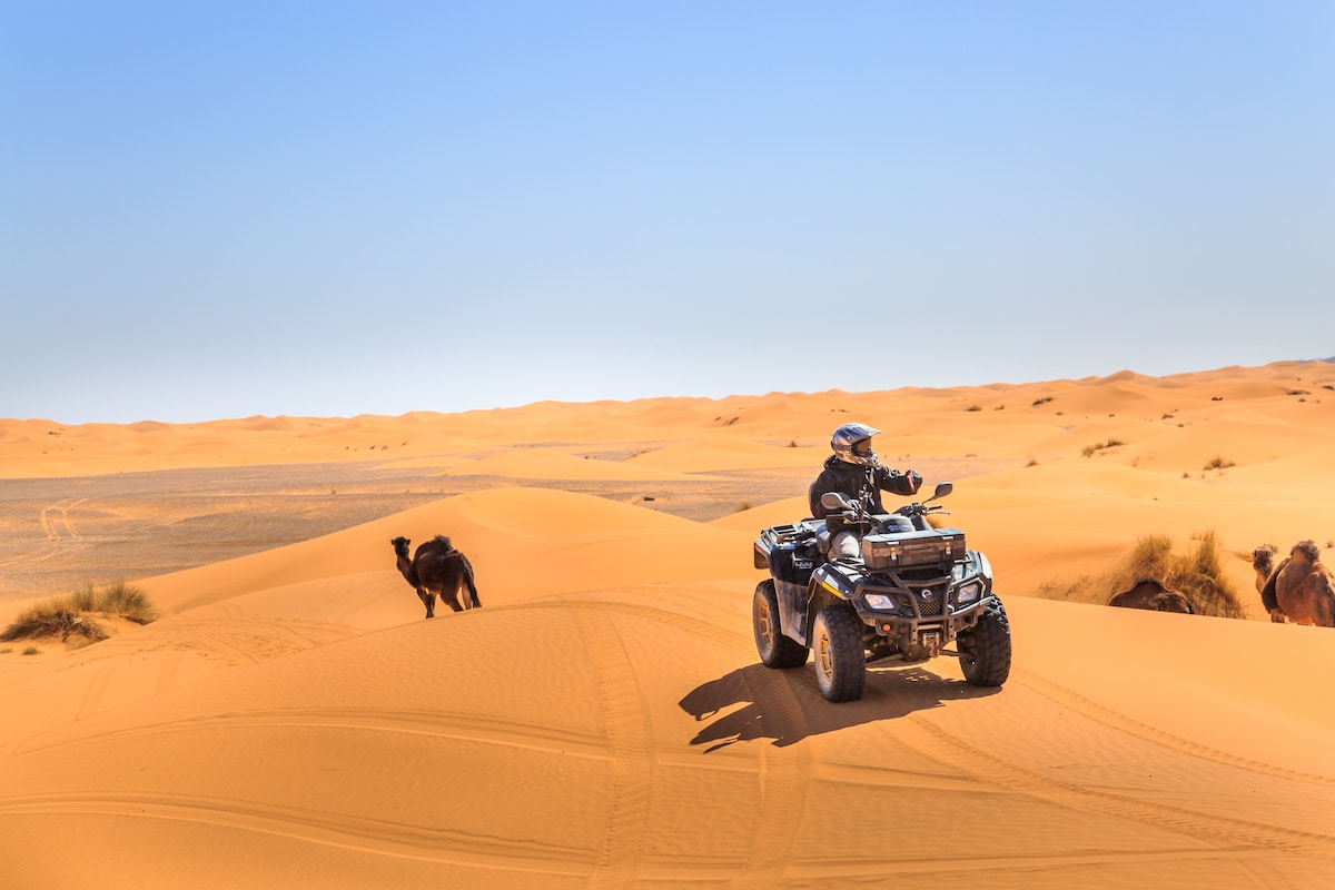 What to do in Merzouga? 10 activities to discover the Merzouga dunes