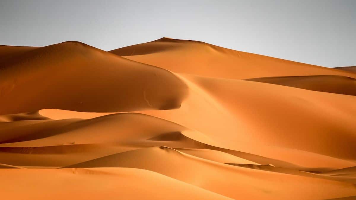 From dune to desert: all about the formation of dunes